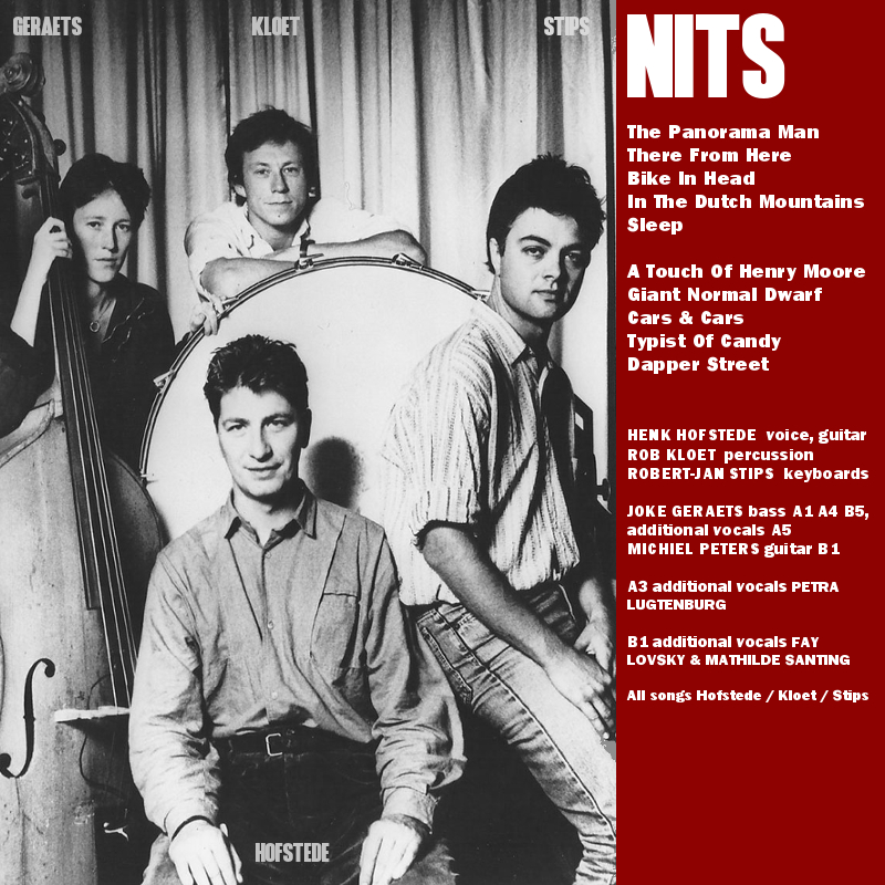 AN IMAGINARY COMPILATION ALBUM : #191: NITS – THE NEW VINYL VILLAIN