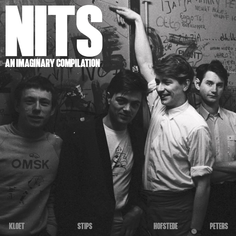 AN IMAGINARY COMPILATION ALBUM : #191: NITS – THE NEW VINYL VILLAIN