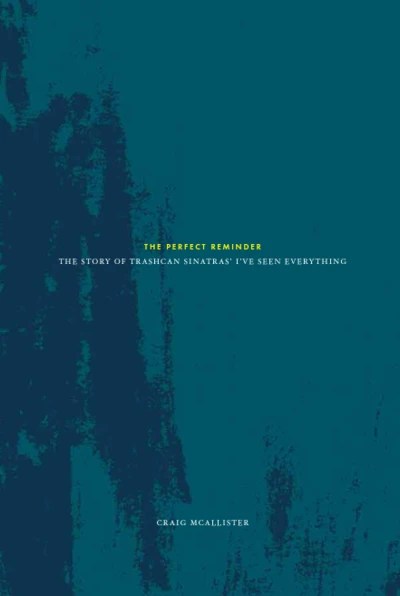 THE PERFECT REMINDER by CRAIG McALLISTER – THE NEW VINYL VILLAIN