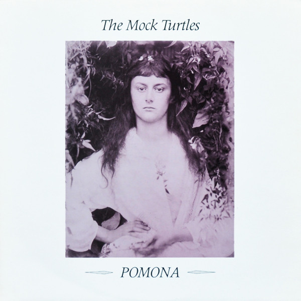Mock Turtles – THE NEW VINYL VILLAIN
