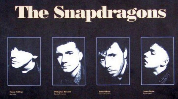 FROM THE C88 ERA : THE SNAPDRAGONS – THE NEW VINYL VILLAIN