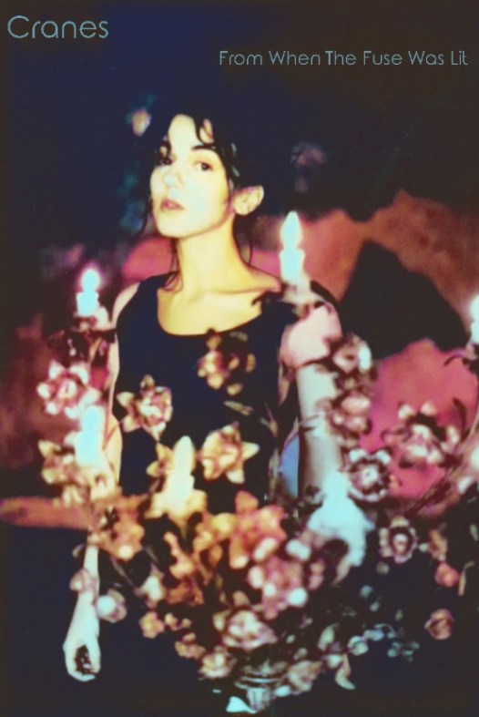 Cranes – THE NEW VINYL VILLAIN